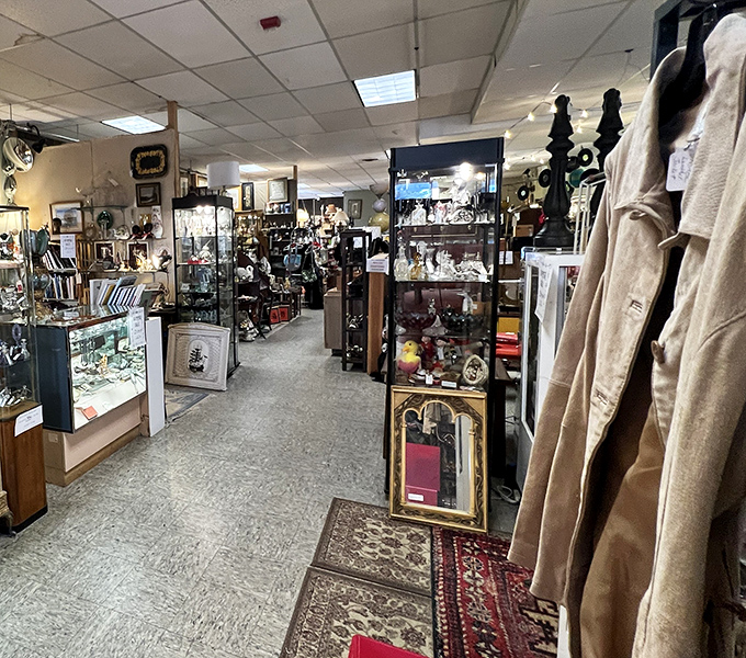 Step into this treasure-filled corridor where every glass case holds potential discoveries that might just follow you home. The thrill of the hunt begins here!