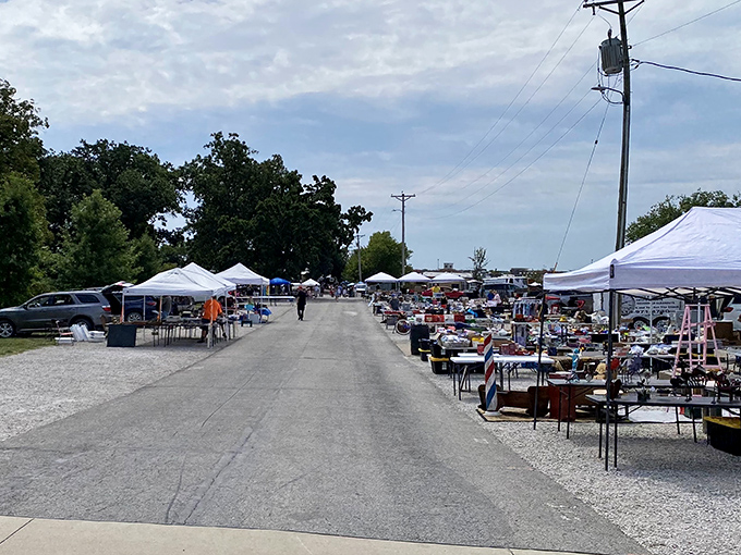Treasure-hunting alley stretches before you like a runway of possibilities, where white tents house everything from vintage vinyl to that perfect something you never knew you needed.