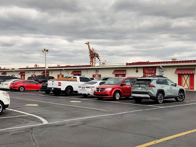 Where treasure hunting becomes an Olympic sport! Wagon wheels and vintage wares hang from the ceiling, creating a rustic time-travel experience.