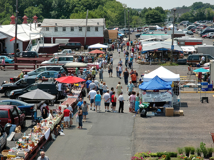 The bustling outdoor section of Quakertown Farmers Market on a sunny day. Treasure hunting isn't just a hobby here&mdash;it's practically an Olympic sport.
