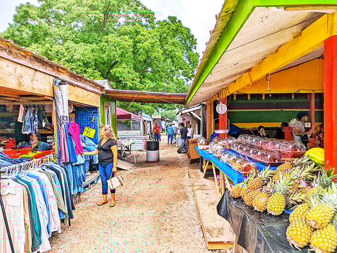 Colorful stalls line the dusty pathways, offering everything from fresh pineapples to vintage clothing. Treasure hunting begins where the pavement ends.