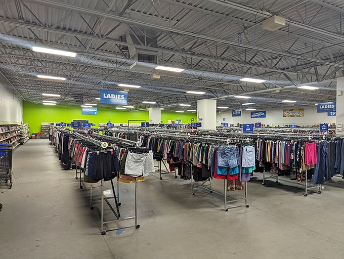 Rows of neatly organized racks stretch across the spacious interior of Palmetto Goodwill&mdash;where bargain hunters can browse to their heart&rsquo;s content.