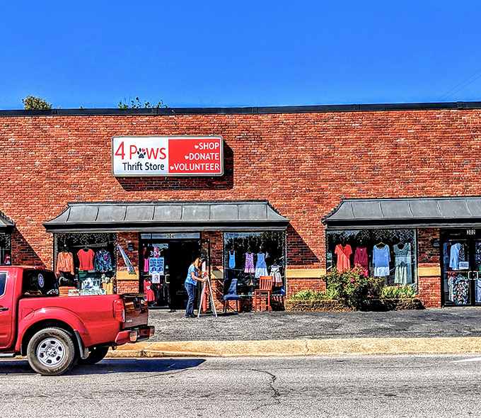 The unassuming brick facade of 4 Paws Thrift Store hides a treasure trove within, like finding the world's best pizza joint in a gas station.