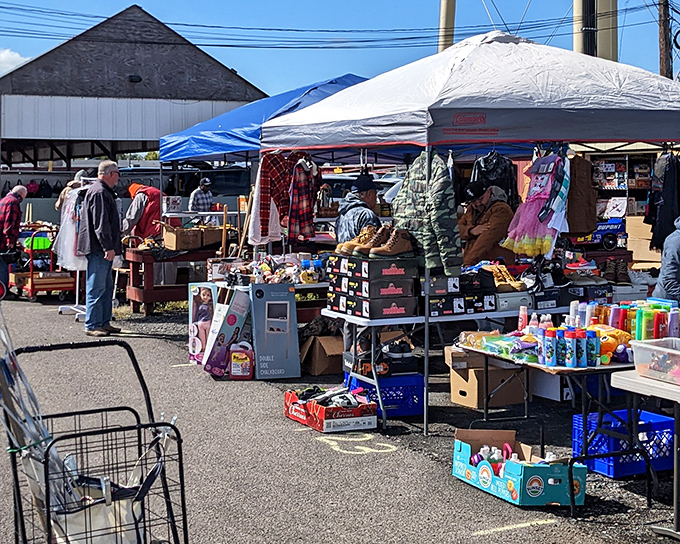 The outdoor flea market comes alive on sunny days, where treasure hunters navigate a maze of pop-up tents and unexpected finds.
