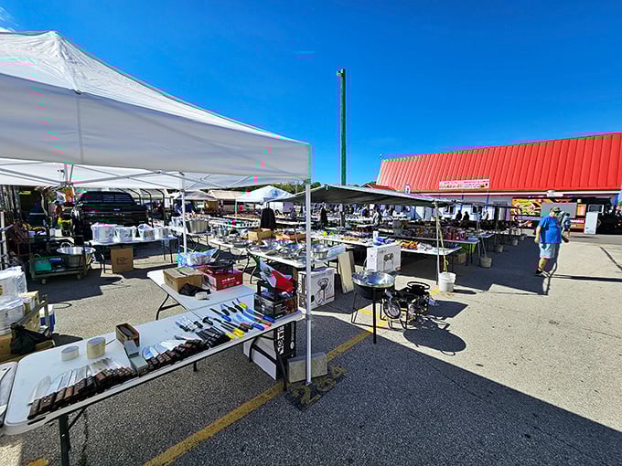The outdoor section at 7 Mile Fair stretches like a small city of commerce, where one person's castoffs become another's treasures under Wisconsin's big blue sky.