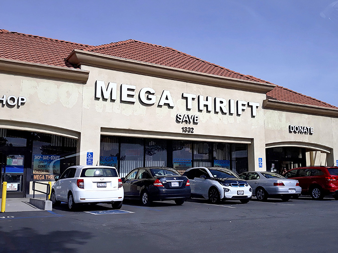 The unassuming exterior of Mega Thrift belies the treasure trove within &ndash; like finding out your quiet neighbor was once a rock star.