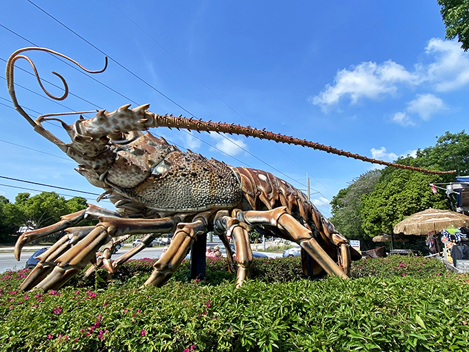 The king of crustaceans stands guard in Islamorada, a copper-colored colossus that makes Maine lobsters look like mere shrimp in comparison.