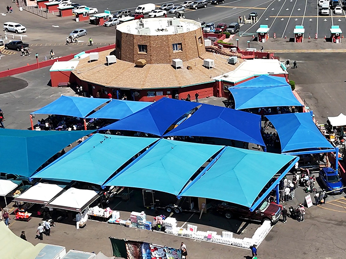 The iconic round building stands sentinel over a sea of blue canopies where treasure hunters gather like prospectors during a modern-day gold rush.