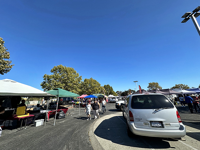 Sun's out, rummage bags out! This Oakland gem is a goldmine of glorious clutter and cool California vibes.