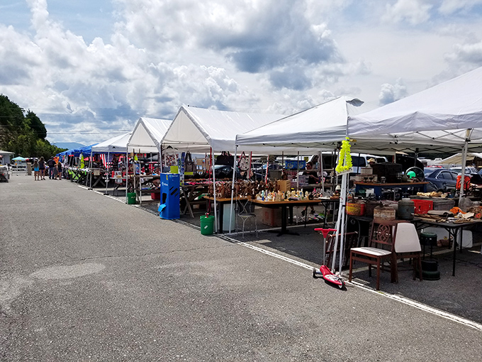 The outdoor market section at Flea Traders Paradise looks like a garage sale threw a block party and everyone was invited.