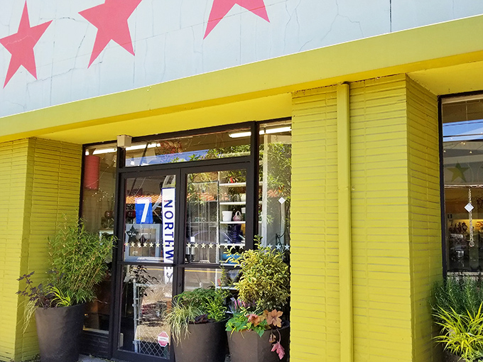 The sunshine-yellow exterior with those iconic pink stars is like a mid-century modern beacon calling to vintage lovers everywhere.