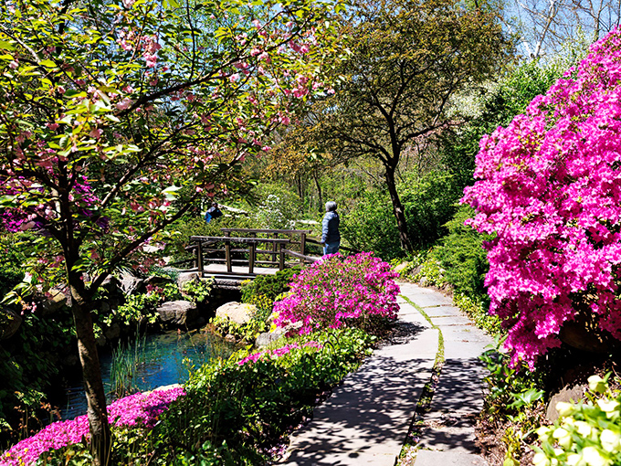 Spring explodes in technicolor along this winding path. Mother Nature showing off her interior design skills with a palette that would make Monet jealous.
