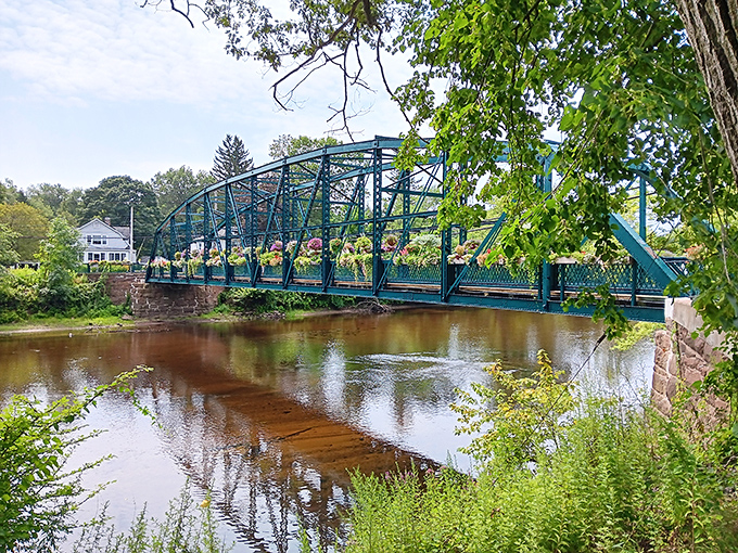 The teal ironwork of Drake Hill Bridge creates a perfect frame for its floral treasures, like industrial chic meets botanical bliss.