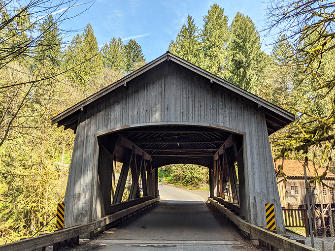 The Cedar Creek Covered Bridge stands like a wooden time capsule, its weathered siding framed by autumn's golden display.