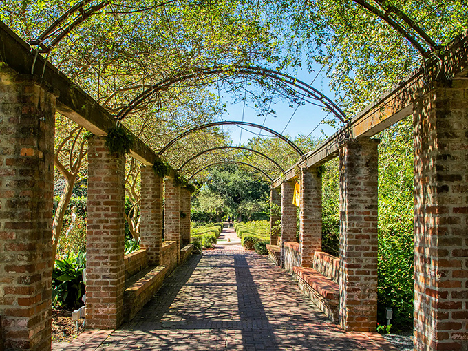The brick colonnade at New Orleans Botanical Garden creates nature's perfect hallway. Dappled sunlight plays through leafy canopies, inviting you deeper into this urban paradise.