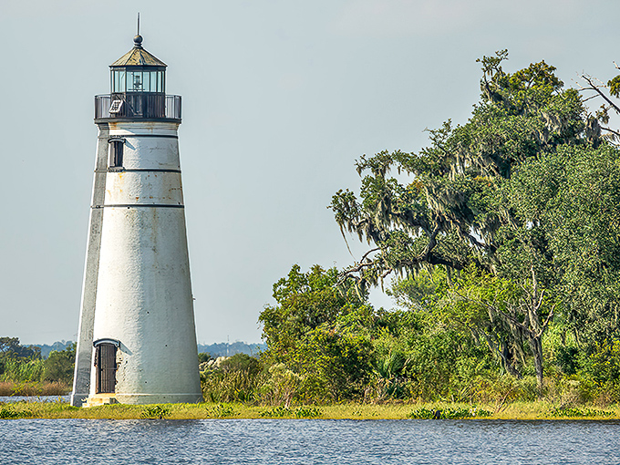 Like a pristine chess piece on nature's board, the lighthouse's white facade creates a striking contrast against the lush Louisiana greenery.