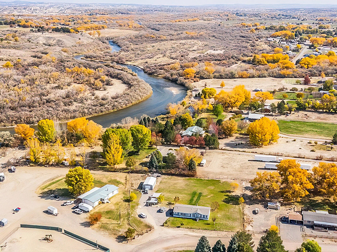 The San Juan River carves its masterpiece through Bloomfield, where golden cottonwoods stand like nature's own welcome committee.