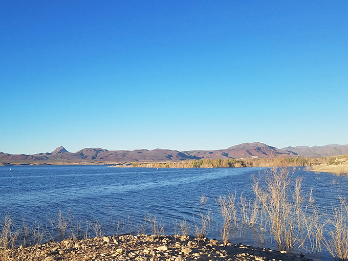 Alamo Lake's waters reflect the surrounding mountains like a mirror. This postcard-perfect view changes colors throughout the day, never showing the same face twice.