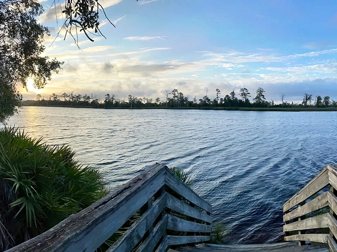 Dawn breaks over the Ochlockonee River like nature's own light show, painting the water with golden hues that would make even the most dedicated sleep-lover consider becoming a morning person.