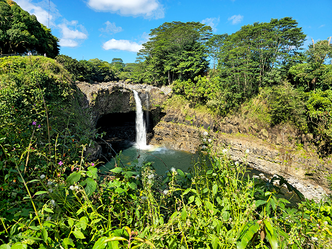 Rainbow Falls plunges into that emerald pool like nature's own infinity edge resort, minus the overpriced cocktails.