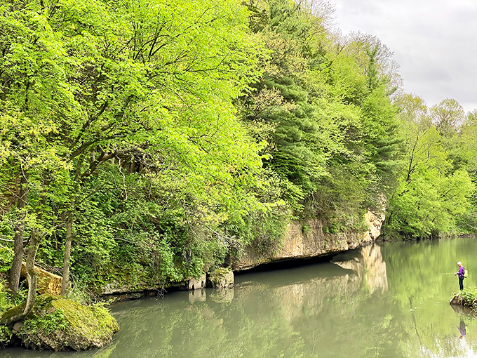 Nature's emerald gateway welcomes you into a world where Illinois suddenly pretends it's the Pacific Northwest.