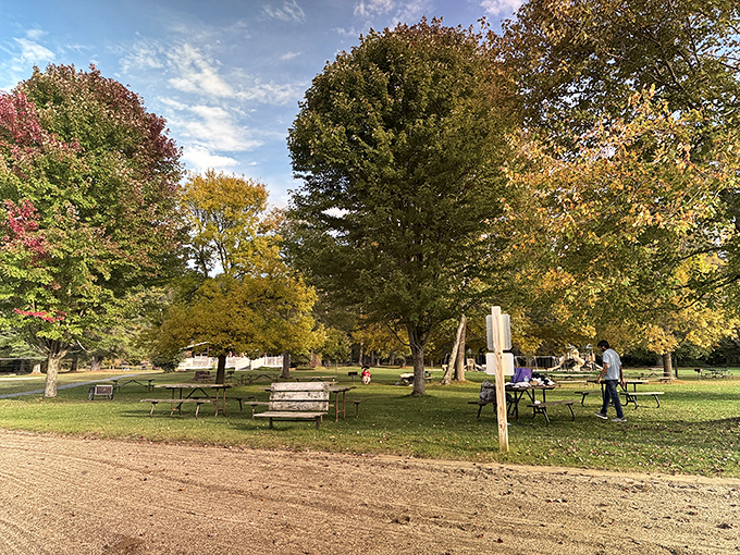 Fall foliage frames picnic tables like nature's dining room. Vermont shows off its seasonal wardrobe while visitors enjoy the simple pleasure of outdoor meals.