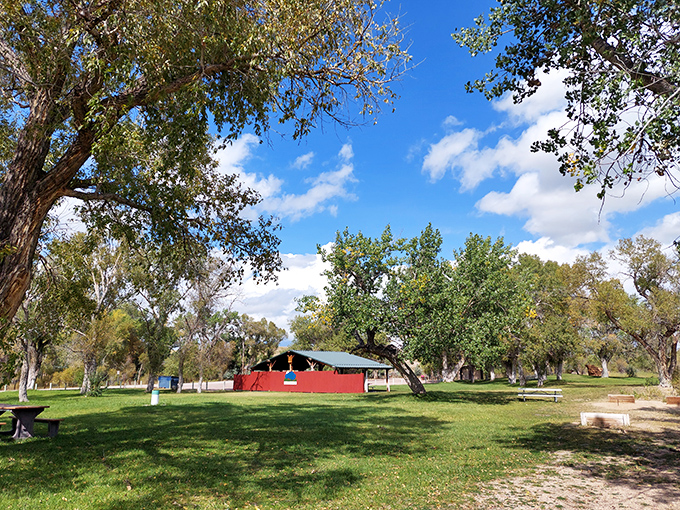 A picnic pavilion nestled among cottonwoods &ndash; nature's version of the perfect outdoor living room, complete with Wyoming's famous blue-sky ceiling.