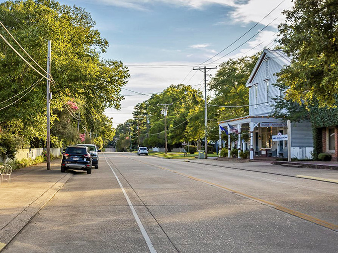 Commerce Street whispers stories of yesteryear while inviting you to create new ones. Those oak trees have seen more history than most history books.