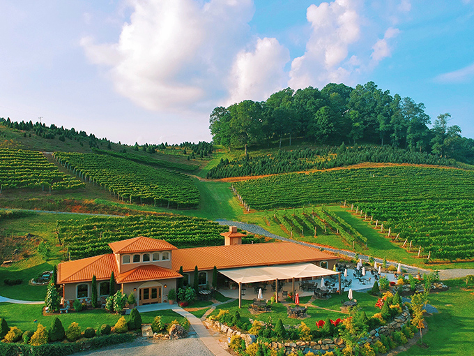 Tuscany meets the Blue Ridge at Linville Falls Winery, where rows of vines cascade down hillsides like nature's own terraced garden.