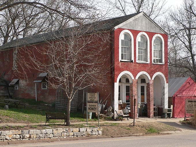 This charming red brick structure with elegant arched windows offers a glimpse into Brownville's prosperous past. Even the bare winter branches seem to reach toward its timeless appeal.