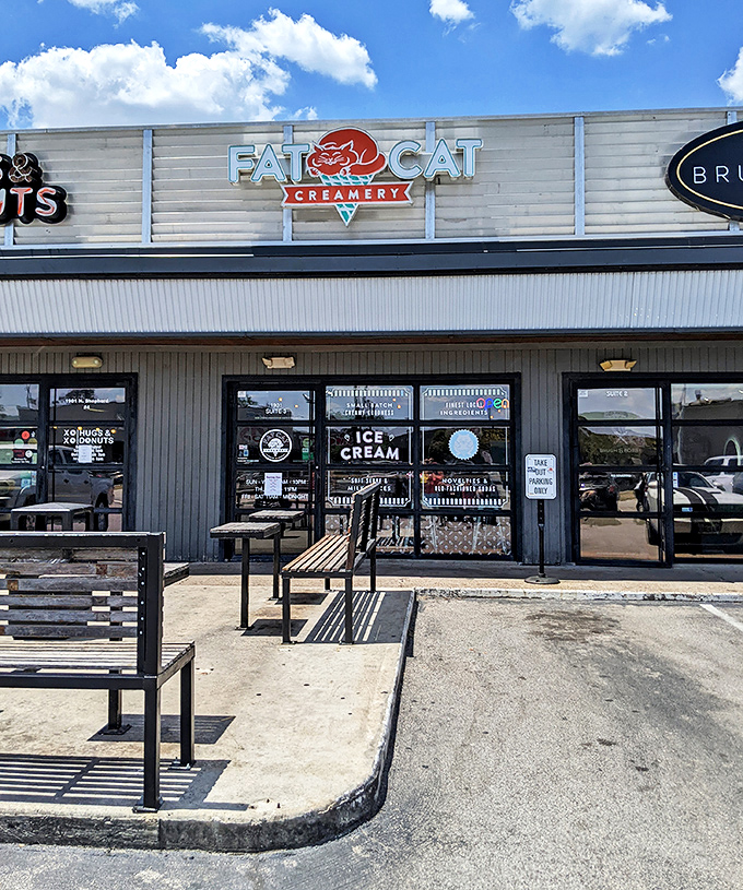 The unassuming storefront belies the frozen magic within. Like finding a treasure chest disguised as a mailbox, Fat Cat Creamery's exterior promises sweet adventures ahead.
