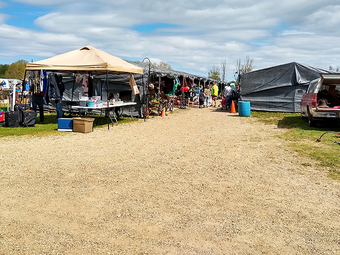 Treasure hunters paradise! Rows of canopies stretch into the distance at Reits Flea Market, where one person's castoffs become another's prized discoveries.
