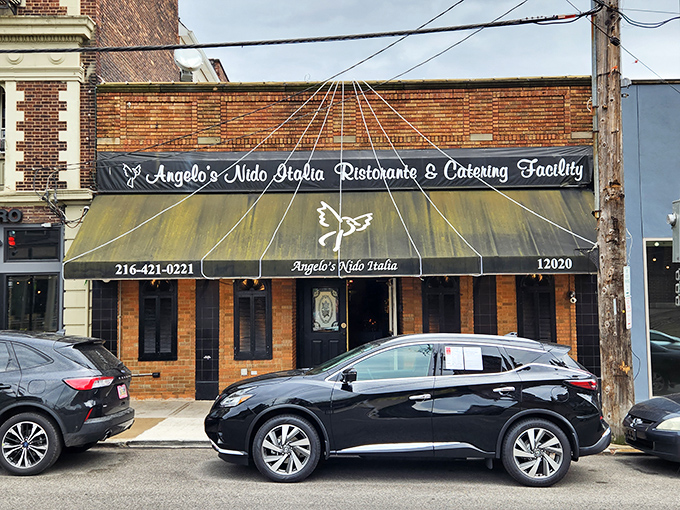 The unassuming brick façade of Angelo's Nido Italia hides culinary treasures that would make any Italian grandmother weep with joy.
