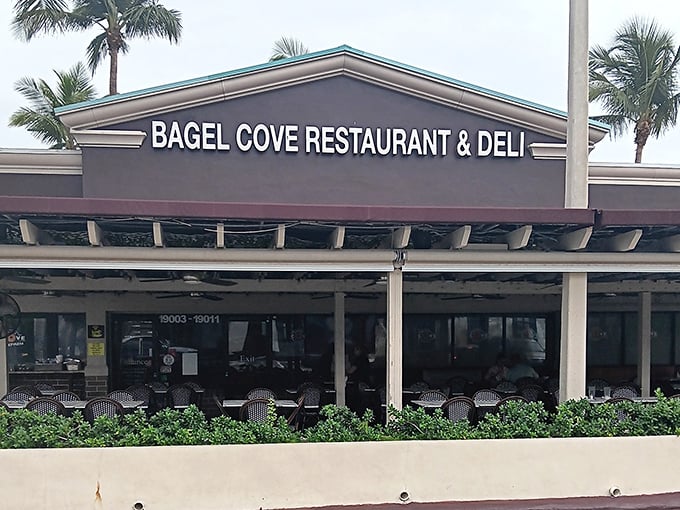Palm trees and paradise await at Bagel Cove's exterior, where Florida sunshine meets New York deli tradition under one welcoming roof. 