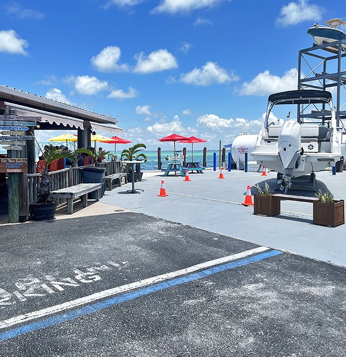 Where paradise meets comfort food: The Old Salty Dog's wooden exterior and waterfront location create that perfect "I've discovered something special" feeling that Florida visitors chase.