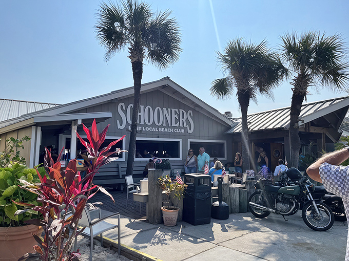 Schooners' weathered wooden exterior stands like a salty sea captain among Panama City Beach's high-rises, palm trees standing guard like old friends.