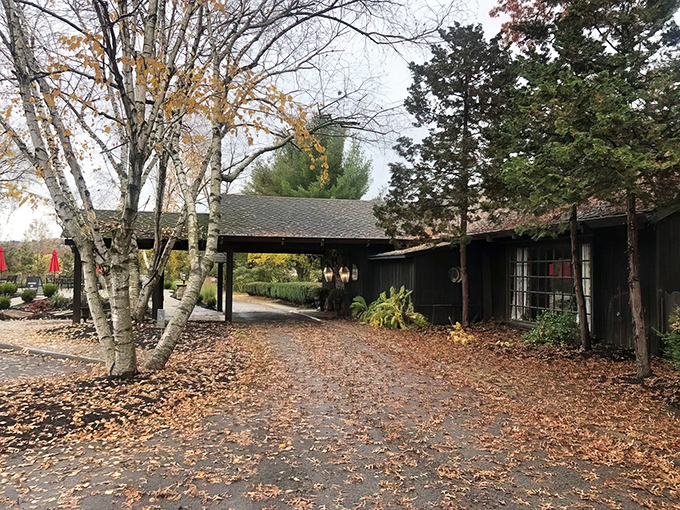 The approach to culinary paradise is paved with autumn leaves. This rustic entrance sets the perfect tone for the exceptional dining experience that awaits.