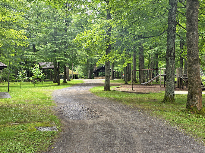 Shaded camping sites nestled among towering trees&mdash;where your biggest decision is which hammock spot to claim first.