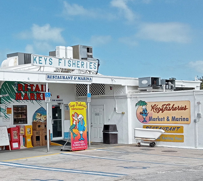 Shark Week meets fresh catch! This spot is a Keys classic—sunshine and the sea’s best bounty. Get ready for a delicious day!