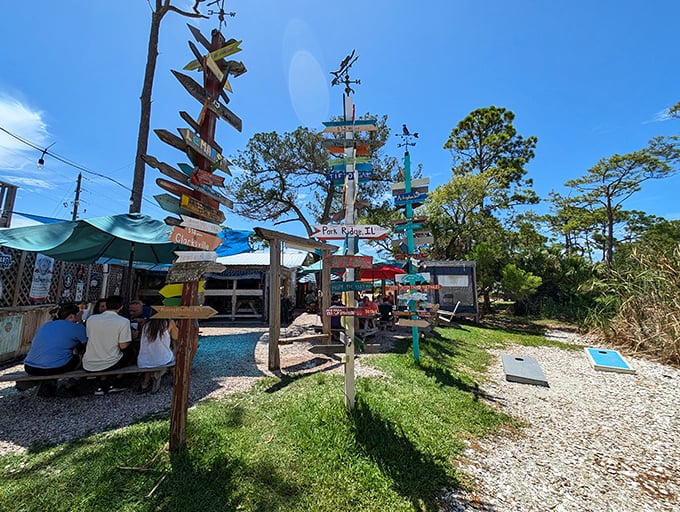 Enjoying a beautiful, sunny day outside with great food and friends. Love the laid-back, welcoming vibe of this place!