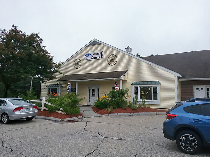 The unassuming exterior hides a treasure trove that would make Indiana Jones trade his whip for a shopping cart.