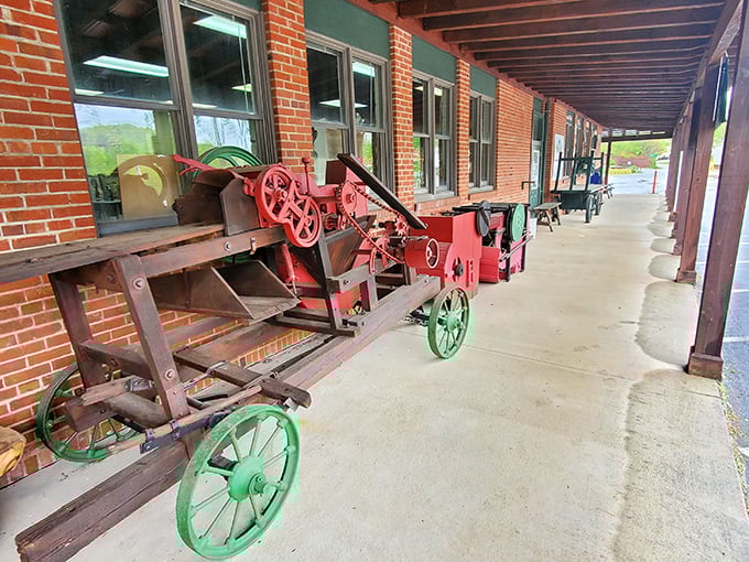 Farm equipment from yesteryear lines the walkway like mechanical sentinels, their wheels and gears frozen in time but still telling stories.