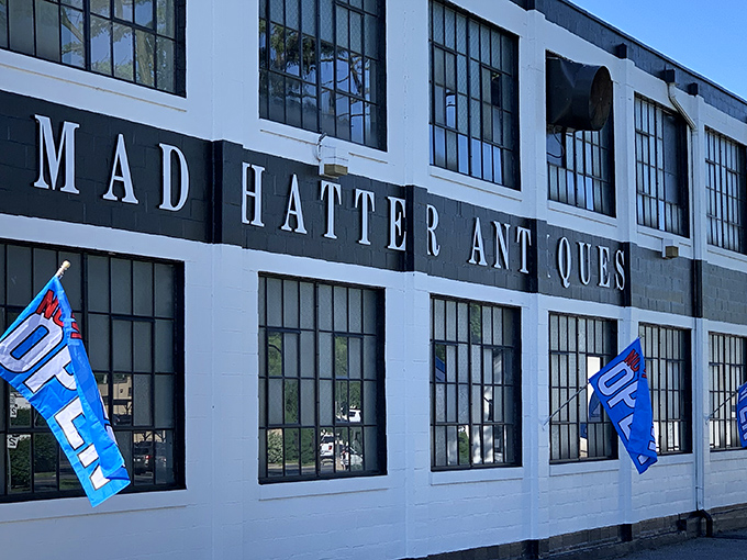 Sunlight plays across the windows of this former factory building, now home to thousands of treasures waiting for their second chance at love.
