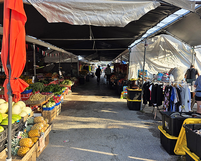 Fresh pineapples stand at attention while clothing waits patiently nearby – at Red Barn, grocery shopping and wardrobe updates happen in the same trip.
