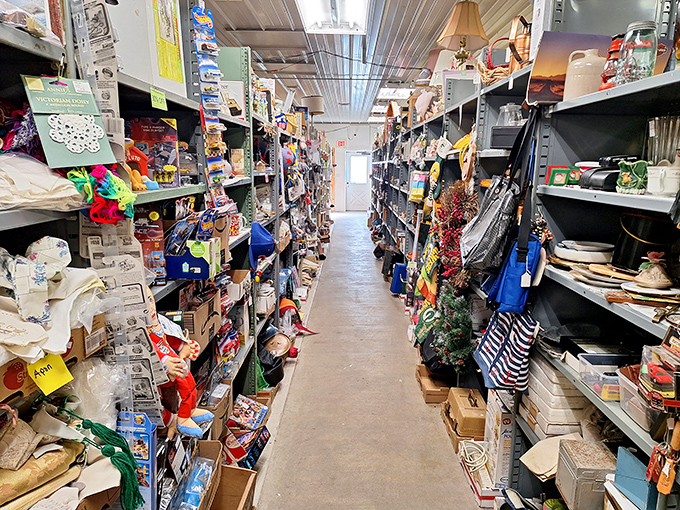 Down the rabbit hole we go! This narrow aisle stretches toward infinity, flanked by shelves bursting with holiday decorations and everyday treasures waiting to be discovered.