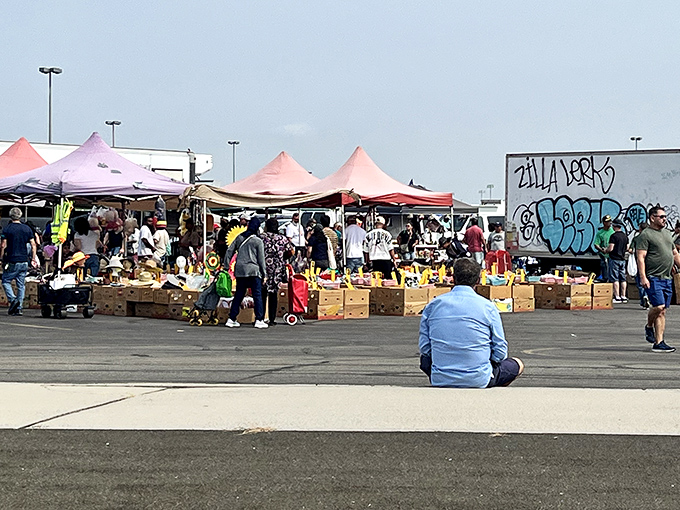 A sea of colorful tents and treasure hunters at the New Meadowlands Flea Market, where one person's castoffs become another's prized possessions.