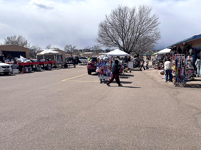 The treasure hunt begins! Under Colorado's big sky, rows of canopies promise discoveries that no algorithm could ever recommend.