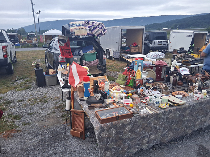 One person's forgotten kitchen gadgets become another's treasure hunt. Tables overflow with nostalgic knickknacks against the backdrop of Pennsylvania's rolling hills.