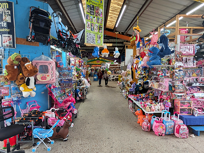 Toy paradise stretches as far as the eye can see. Pink strollers, plush animals, and colorful gadgets create a wonderland that would make Santa's workshop jealous.