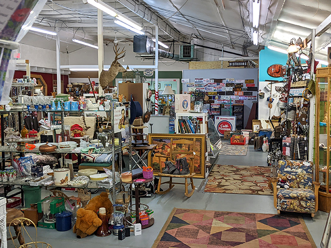 Step inside and the organized chaos reveals itself&mdash;vintage furniture, mounted wildlife, and colorful rugs creating pathways through decades of American memories.